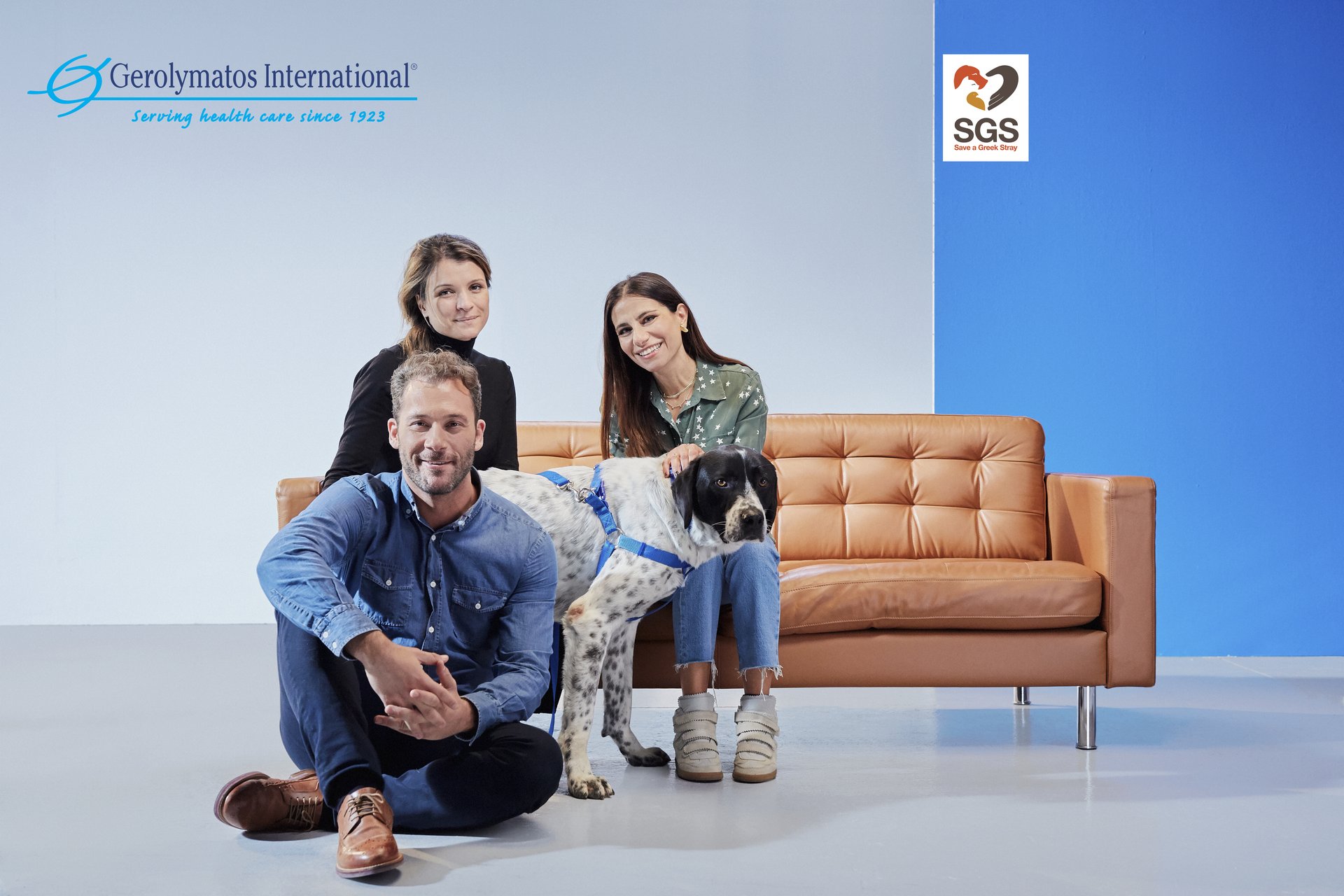 Save a Greek Stray prompts us to spay/ neuter our dogs to save even ...